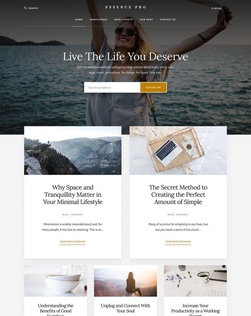Essence Pro: A Theme that Allows You to Focus on the Essentials